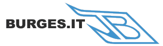 Team | BURGES.IT Support